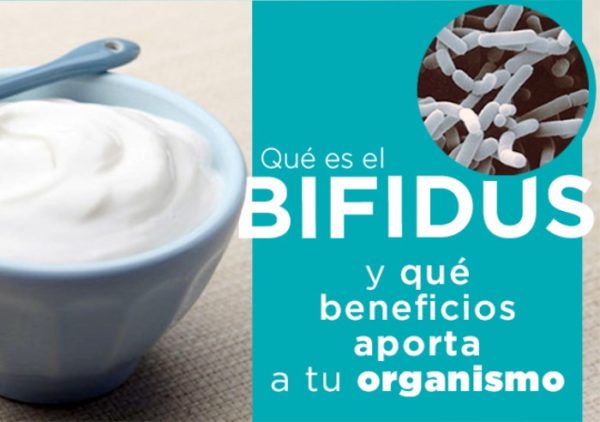 Qué es el Bifidus y 3 Beneficios para tu Organismo | Prokeydrinks